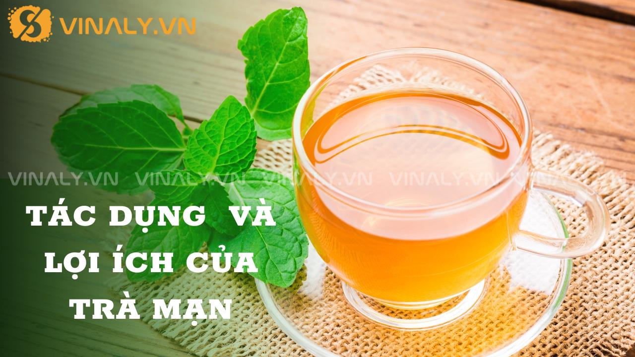 Trà Mạn Là Gì? Tìm Hiểu Về Nguồn Gốc Và 4 Lợi ích Của Nó - Vinaly.vn